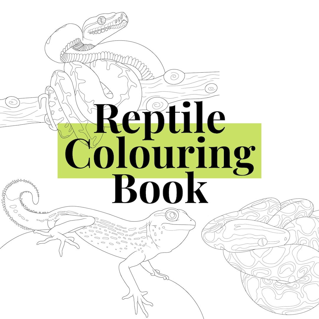 Digital Reptile Coloring Book - PDF - Great for Digitally Coloring or ...
