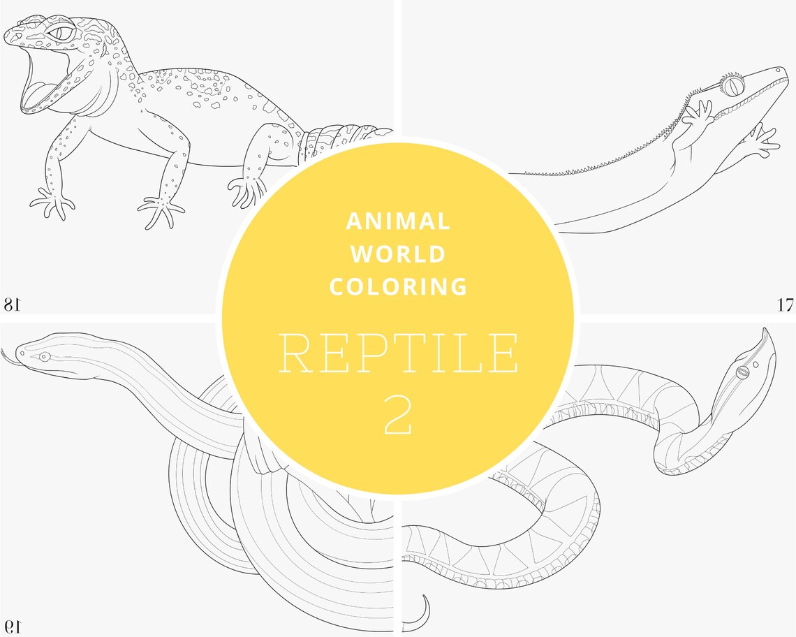 Digital Reptile #2 - More Reptiles Coloring Book - PDF Downloads ...