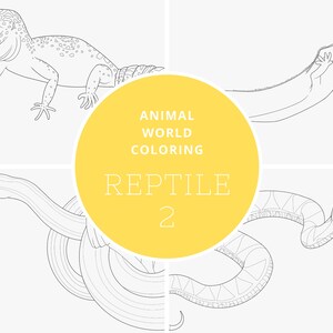 Digital Reptile #2 - More Reptiles Coloring Book - PDF Downloads ...