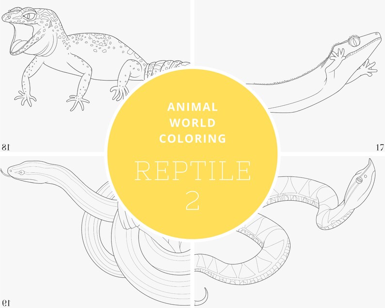 Digital Reptile #2 - More Reptiles Coloring Book - PDF Downloads ...