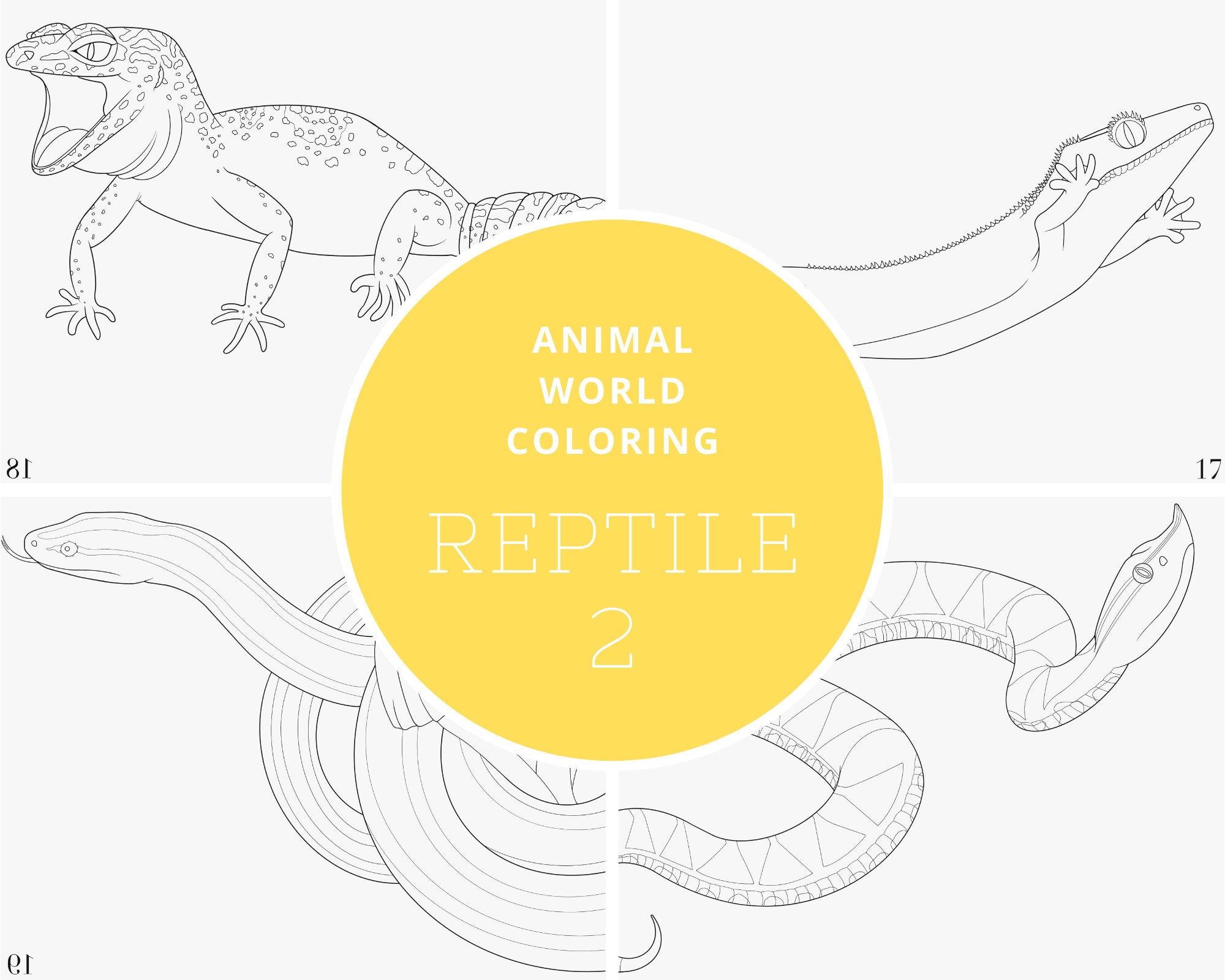 Digital Reptile 2 More Reptiles Coloring Book PDF Downloads Great for ...