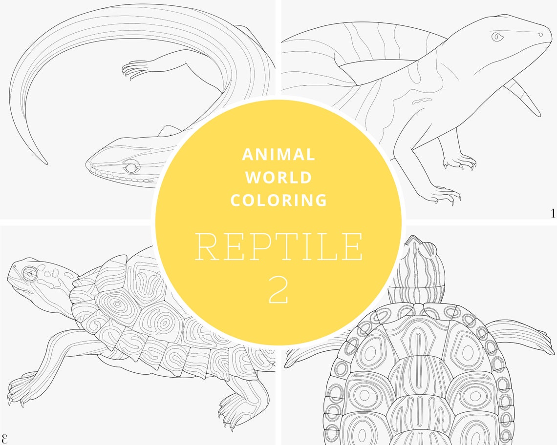 Digital Reptile #2 - More Reptiles Coloring Book - PDF Downloads ...
