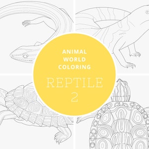 Digital Reptile #2 - More Reptiles Coloring Book - PDF Downloads ...