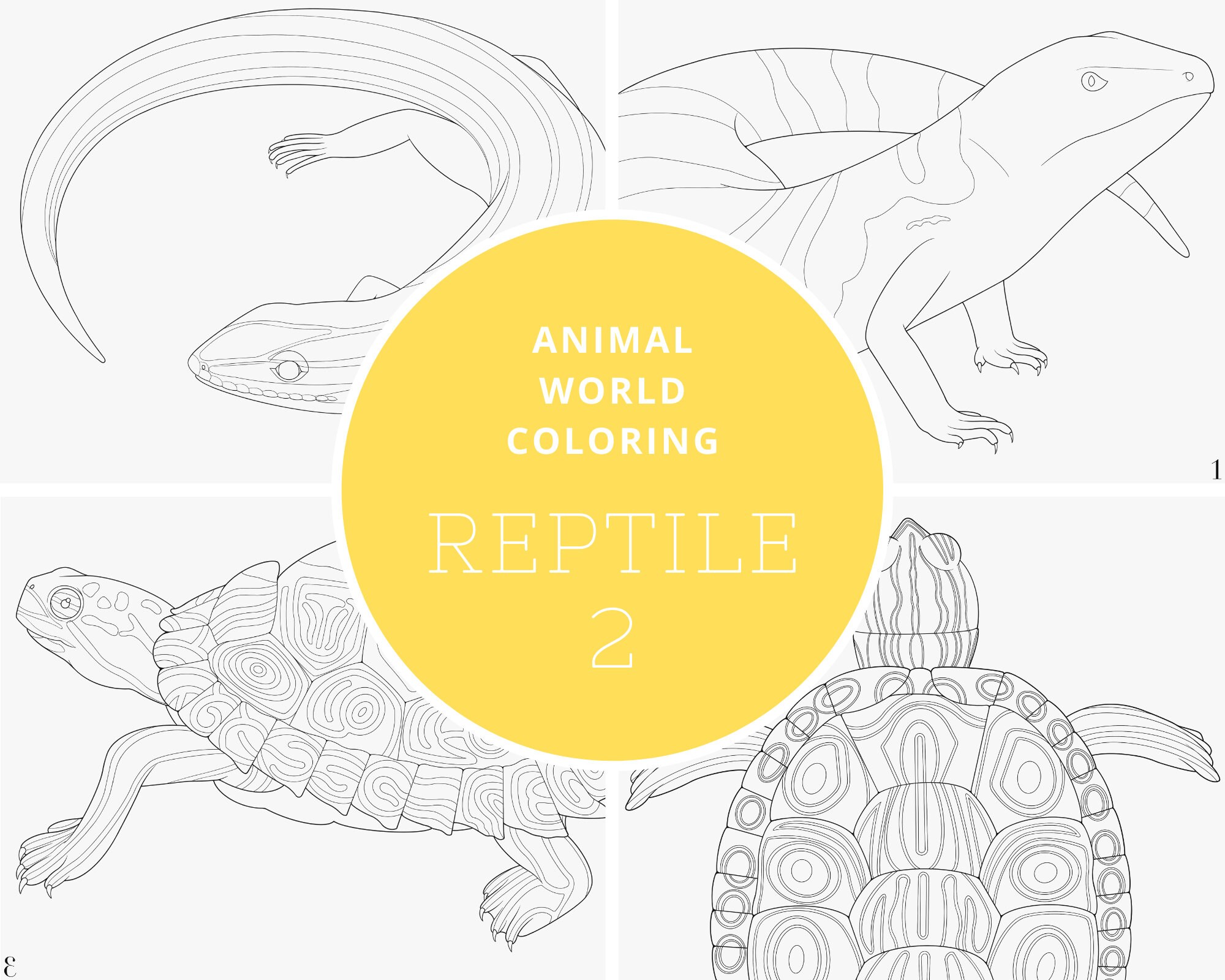 Digital Reptile 2 More Reptiles Coloring Book PDF Downloads Great for ...