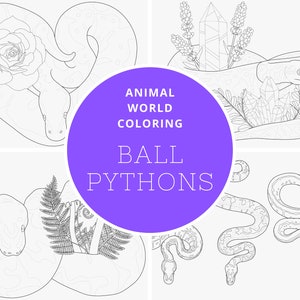 Ball Python Digital Coloring Book - PDF - Great for Both Reptile and ...
