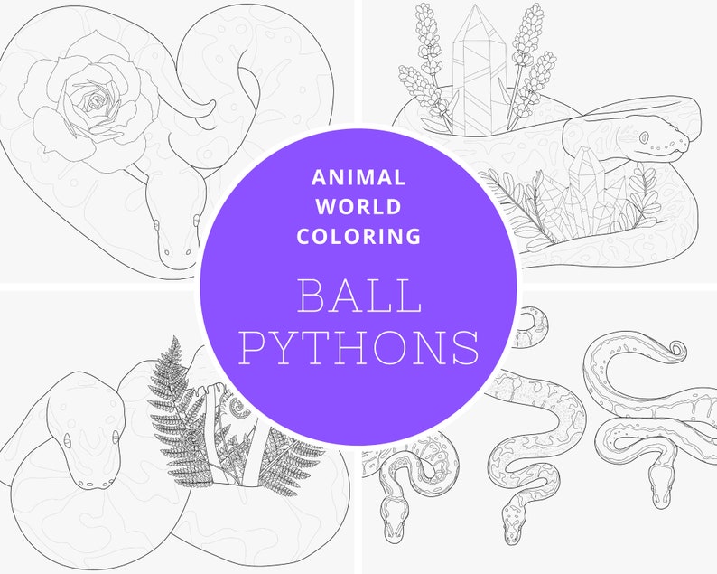 Ball Python Digital Coloring Book - PDF - Great for Both Reptile and ...