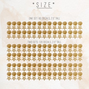 Sea Shell Wall Decals | Scallop Shell Wall Decals | Starfish Wall ...