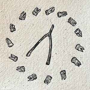 Wishbone and Teeth. bone Clock Original Linocut Print on Heavyweight ...