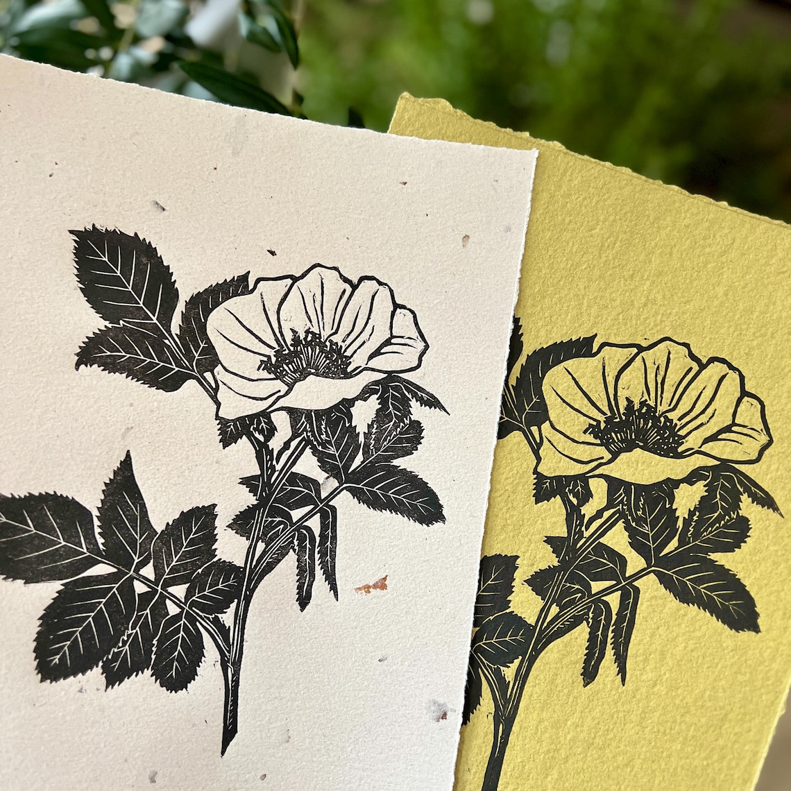Wild Rose Linocut Print. Nootka Rose. Handmade. Botanical Art. - Etsy