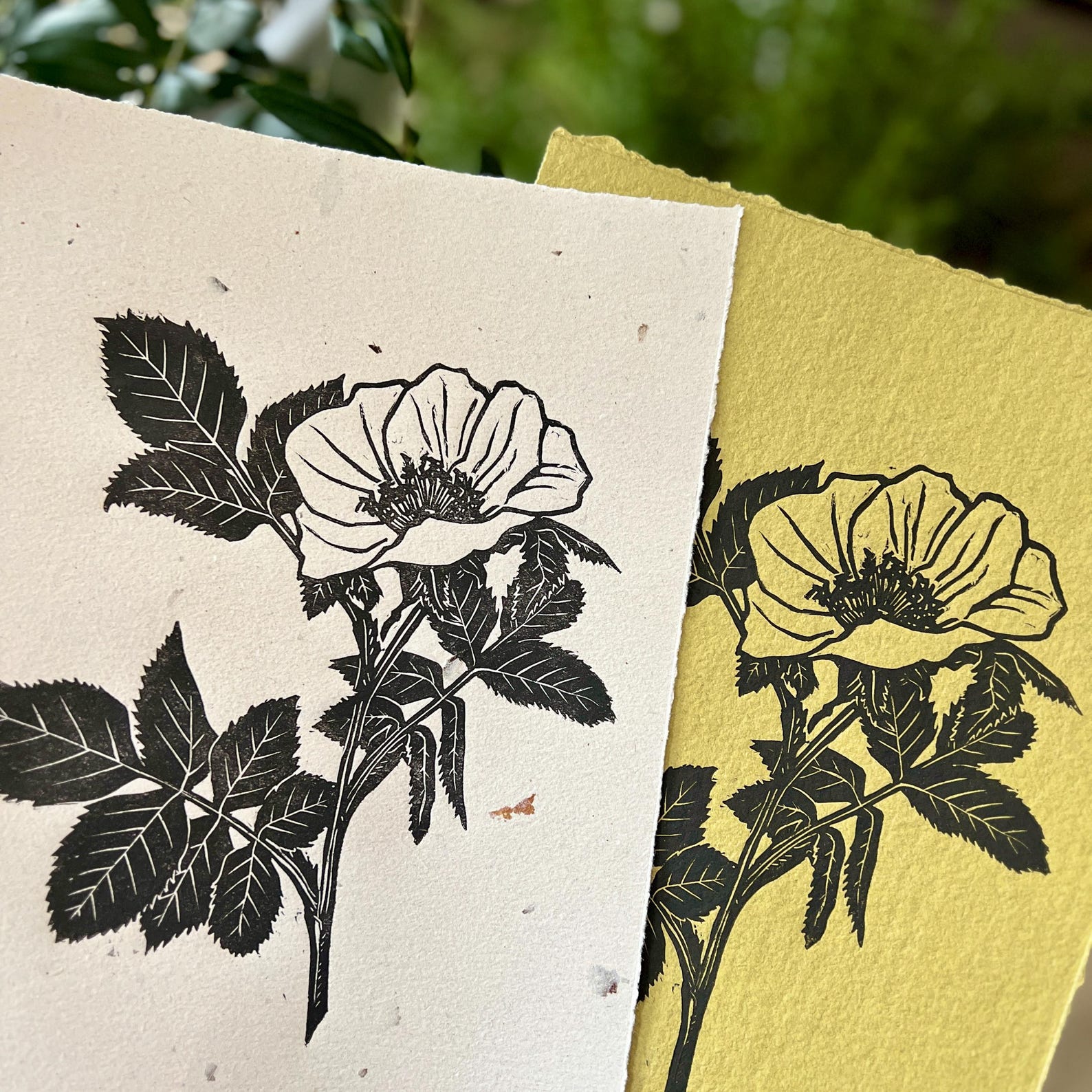 Wild Rose Linocut Print. Nootka Rose. Handmade. Botanical Art. - Etsy