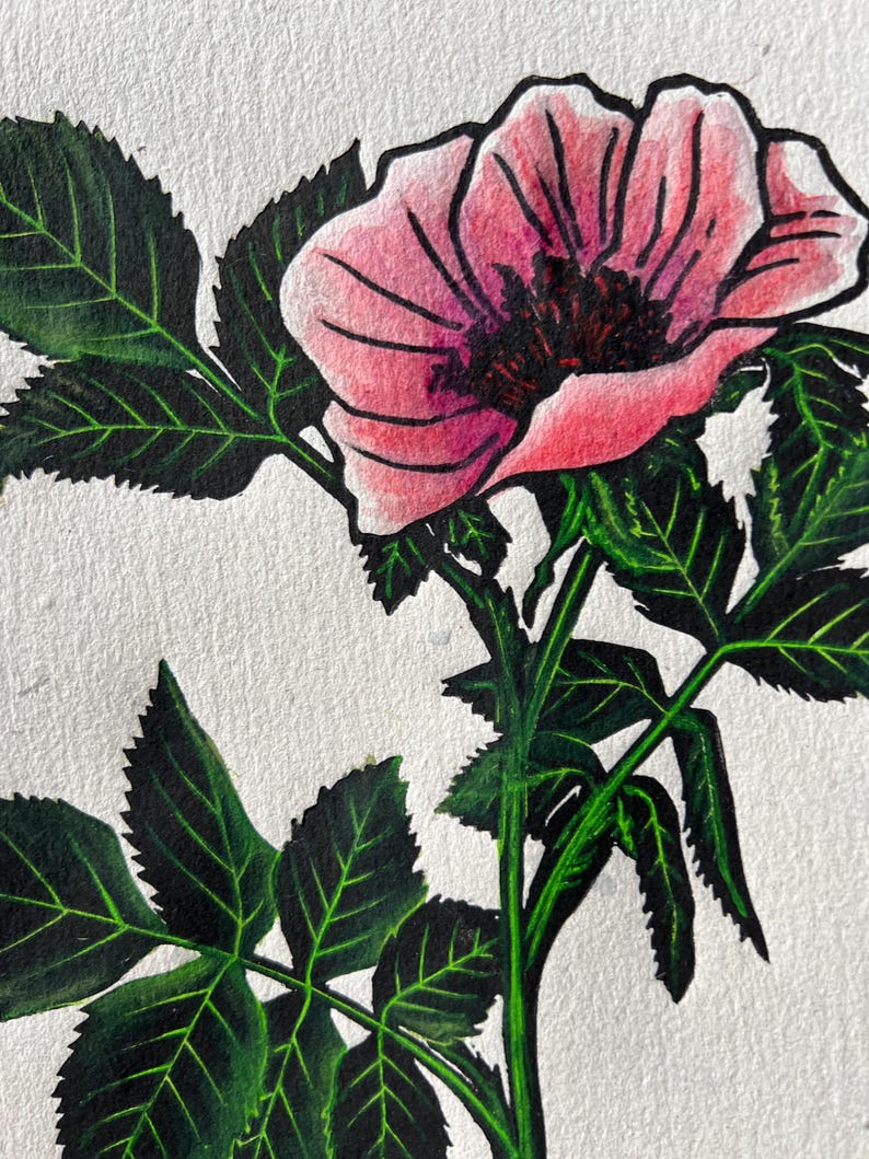 Wild Rose Linocut Print. Nootka Rose. Handmade. Botanical Art. - Etsy