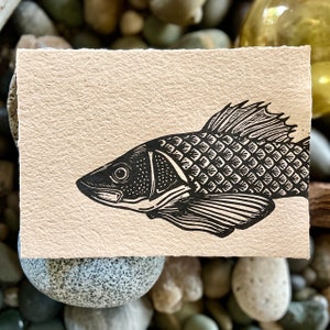 Fish Mini-print Pack. Five Different Linocut Fish Prints on Heavyweight ...