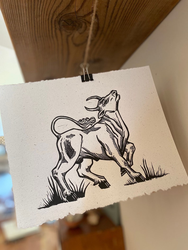 Bull. Ox. Taurus. Original Linocut Print. - Etsy