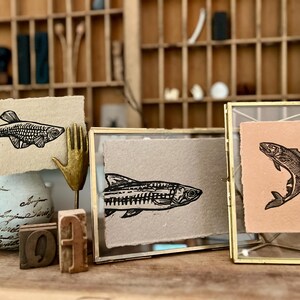Fish Mini-print Pack. Five Different Linocut Fish Prints on Heavyweight ...