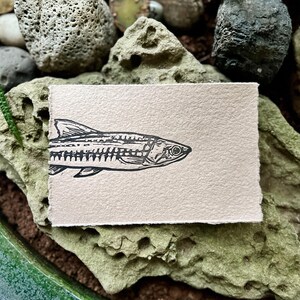 Fish Mini-print Pack. Five Different Linocut Fish Prints on Heavyweight ...