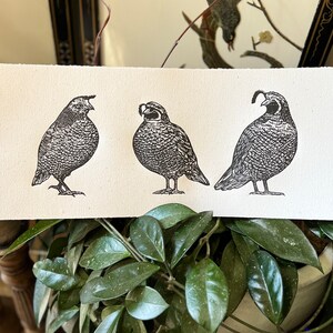 California Quail. Bird Art. Original Handmade Linocut Print - Etsy