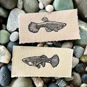 Fish Mini-print Pack. Five Different Linocut Fish Prints on Heavyweight ...