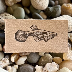 Fish Mini-print Pack. Five Different Linocut Fish Prints on Heavyweight ...