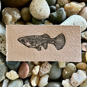 Fish Mini-print Pack. Five Different Linocut Fish Prints on Heavyweight ...