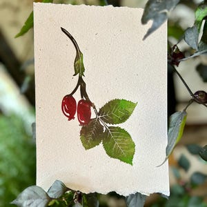 Rose Hips Linocut Print. Botanical Art. Handmade. - Etsy