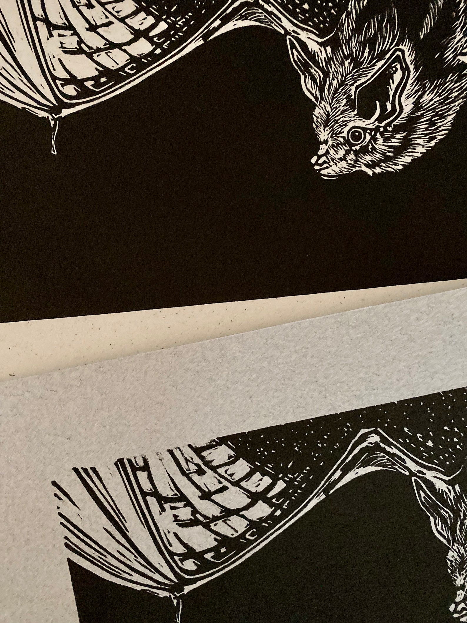 Little Brown Bat Original Linocut Print on Handmade Recycled | Etsy