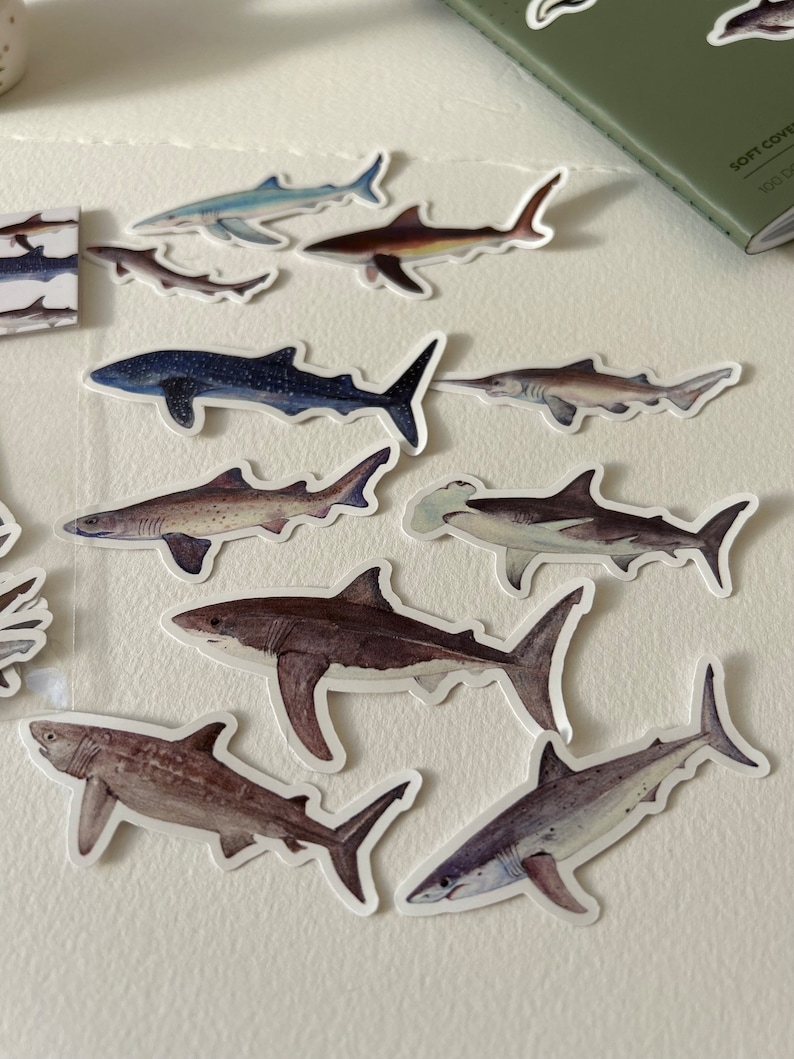 Stickers- Shark Stickers - Etsy