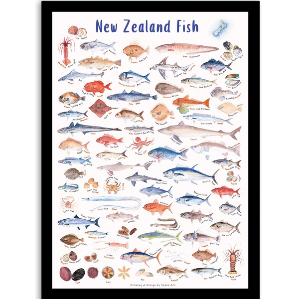 Fish Poster - Etsy