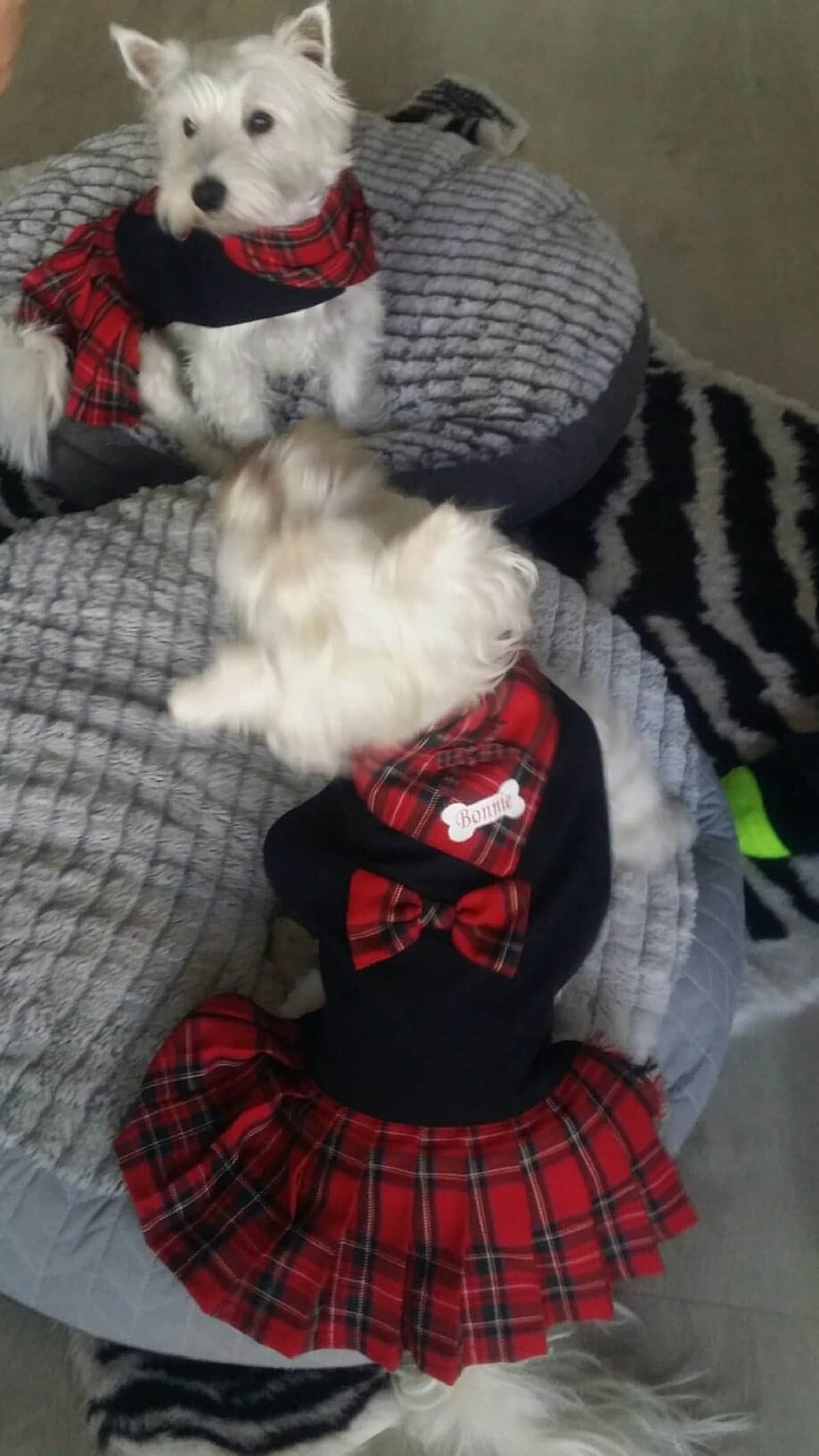 Derriere Dog Kilt, Pet Kilt, Tartan Kilt for Dogs, Hat Sold Separately ...