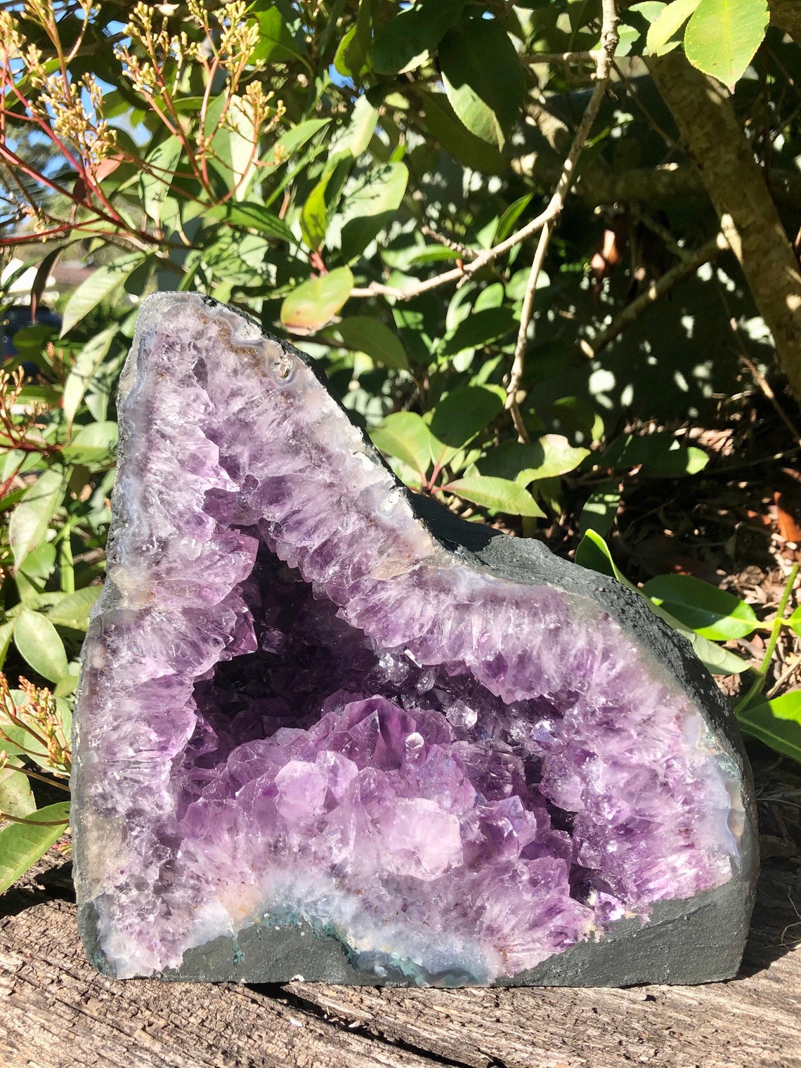 Giant Amethyst Geode Cave | Etsy