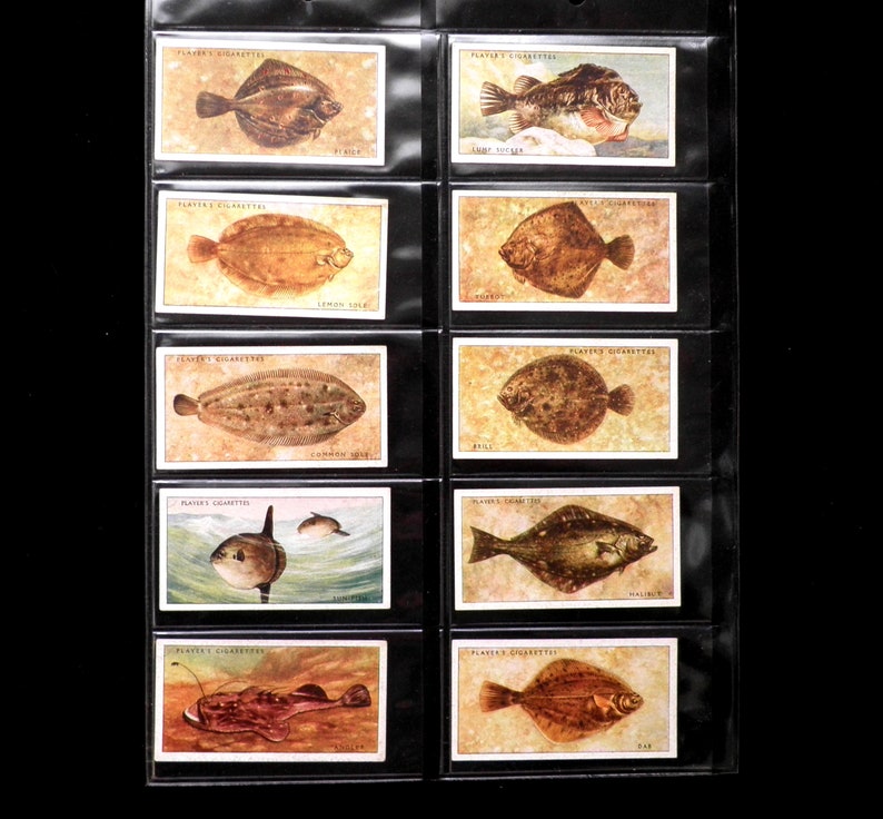 Sea Fishes Cigarette Cards by John Player Set of 50 Issued in 1935 ...