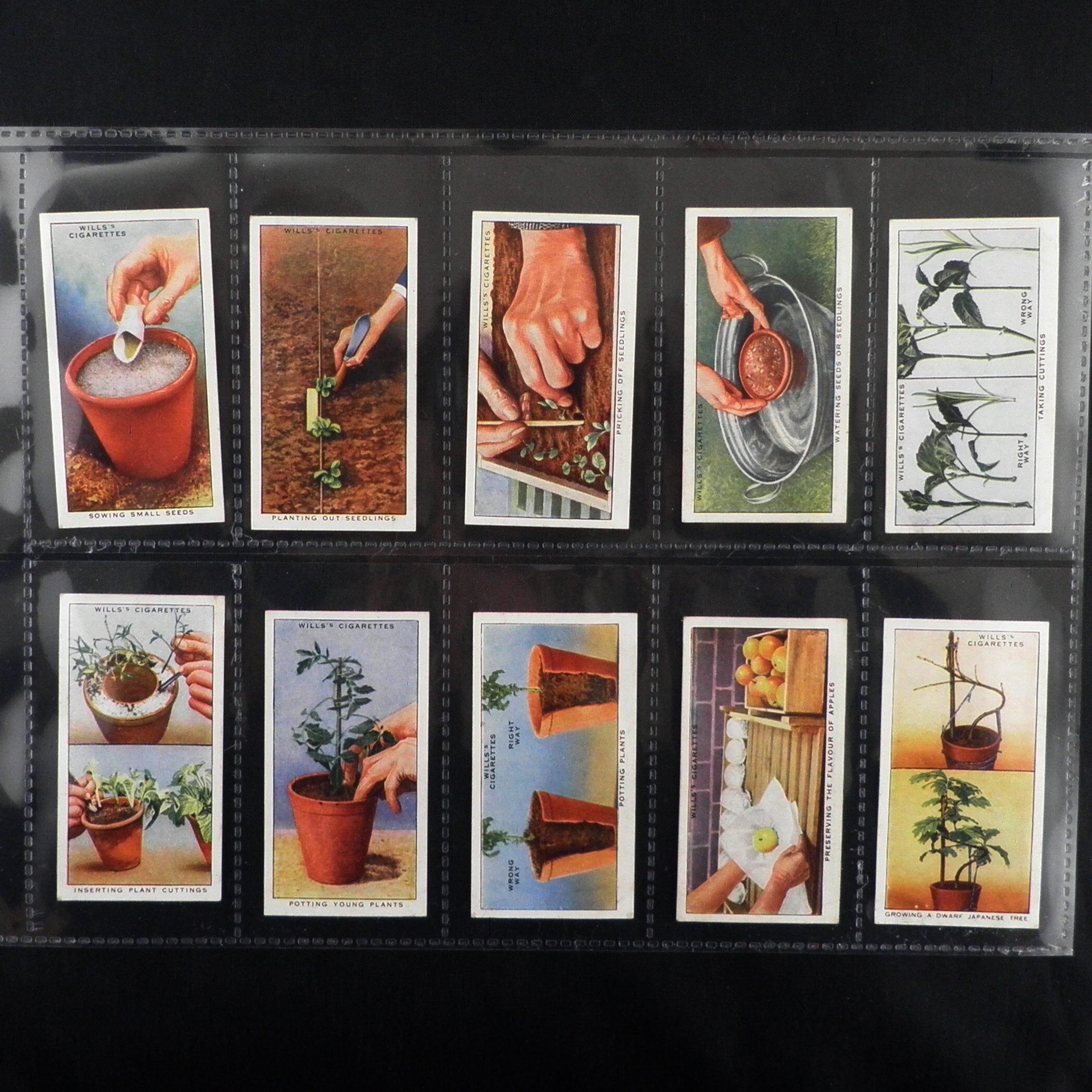 Garden Hints Cigarette Cards by WD and HO Wills Set of 50 Issued in ...