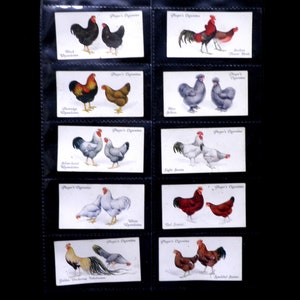 Poultry Cigarette Cards by John Player Set of 50 Issued in 1931 Nature ...