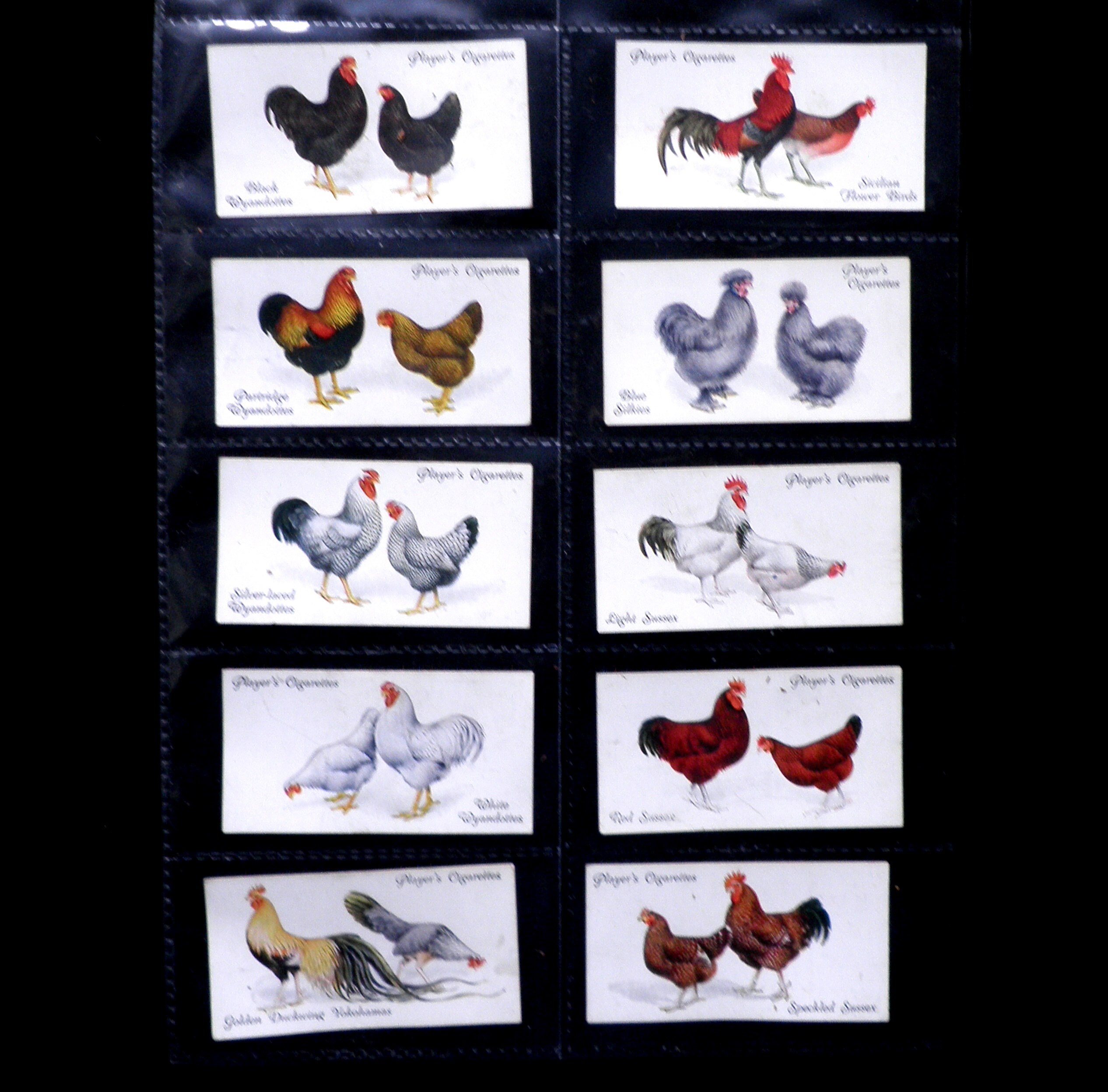 Poultry Cigarette Cards by John Player Set of 50 Issued in 1931 Nature ...
