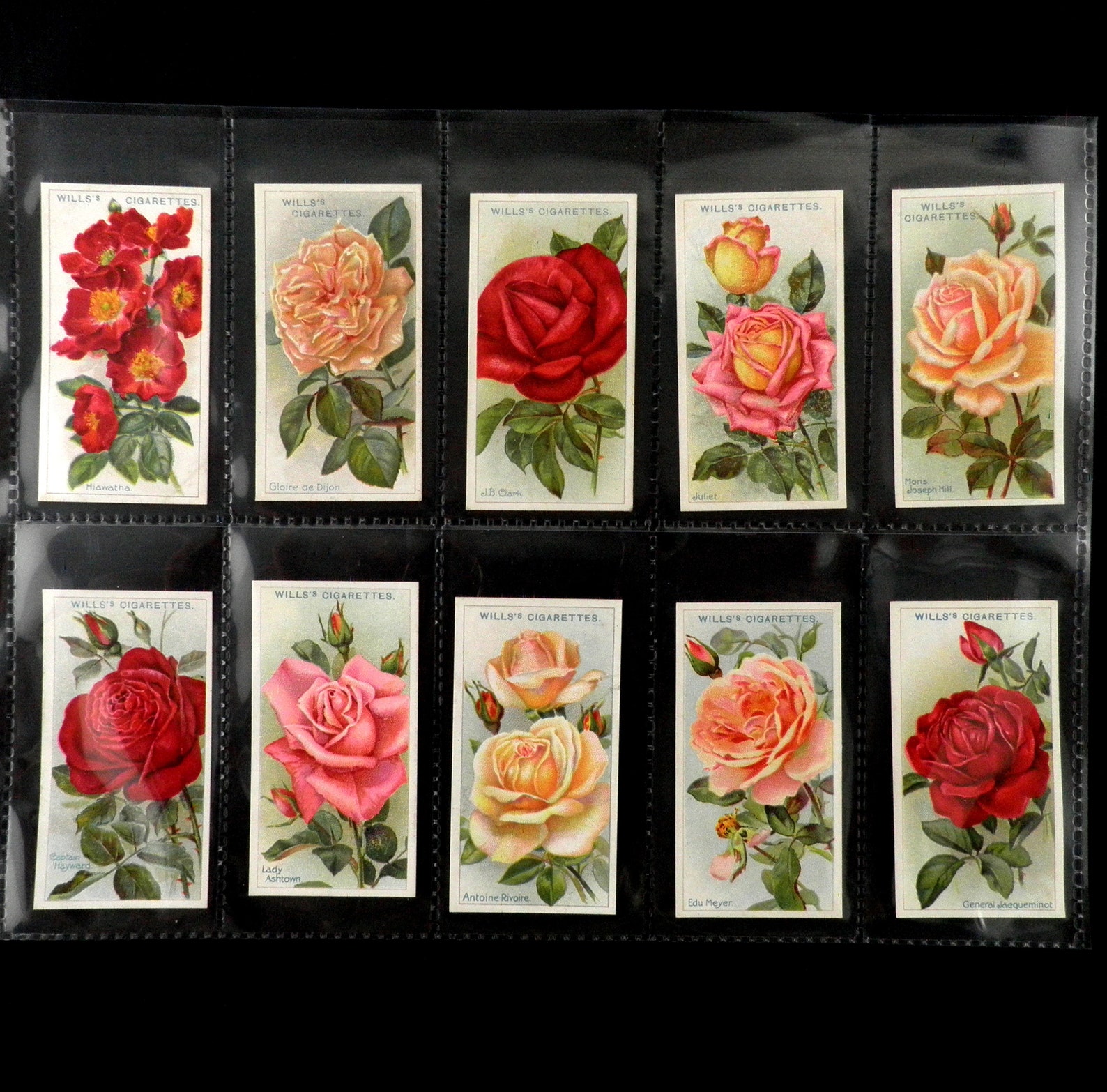 Roses Cigarette Cards by WD and HO Wills Set of 50 Issued in - Etsy