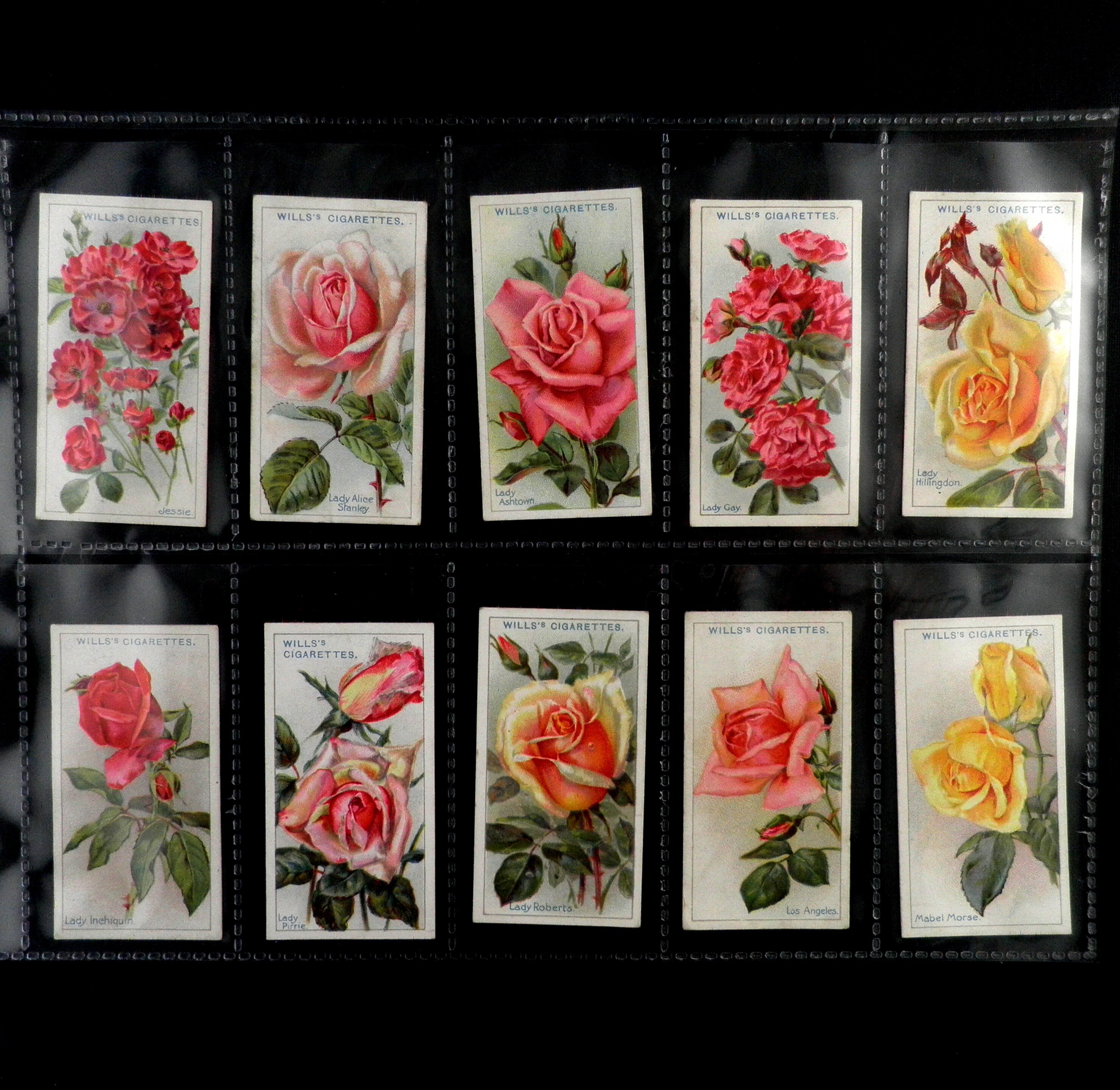 Roses Cigarette Cards by WD and HO Wills Set of 50 Issued in | Etsy