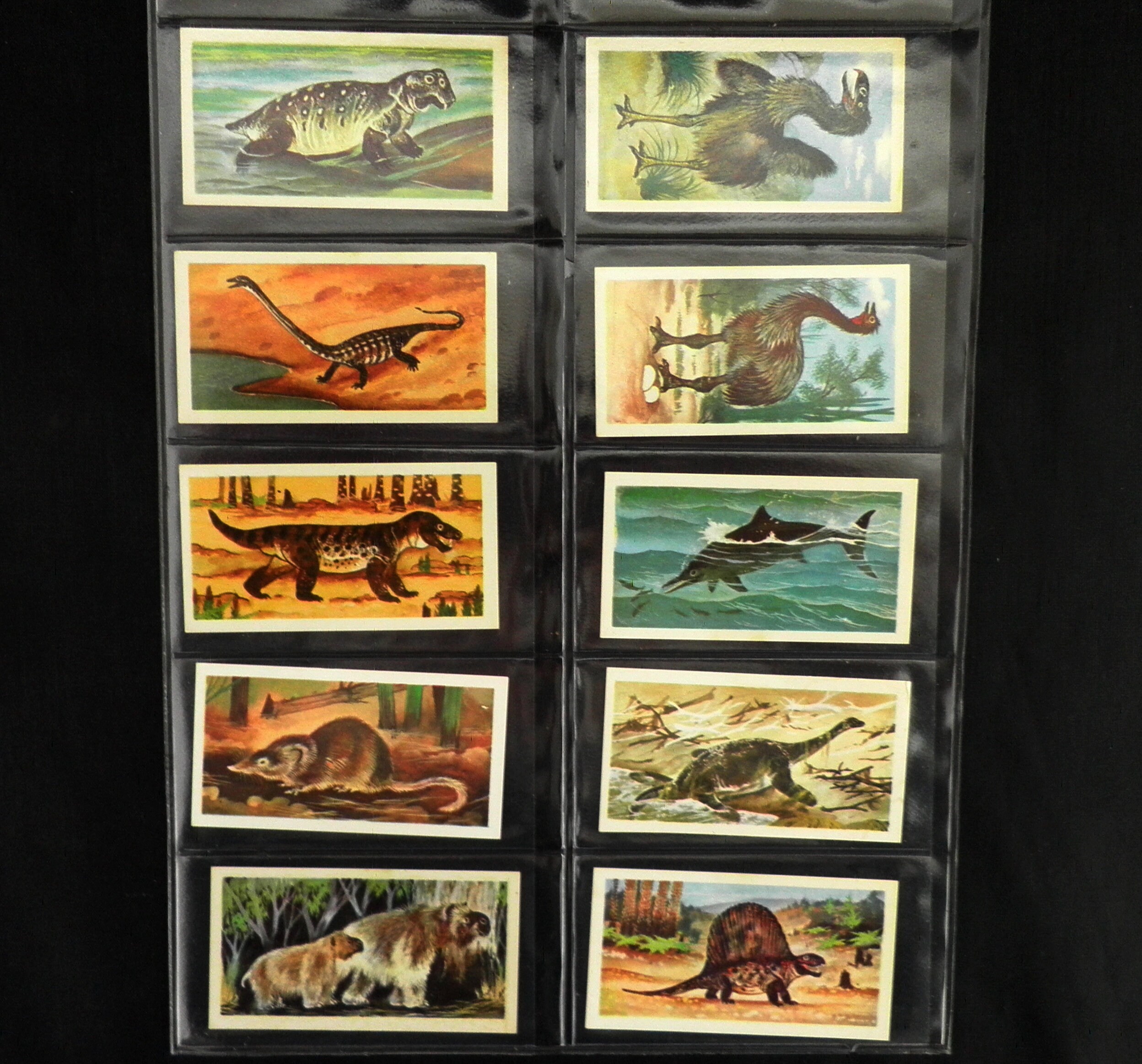 Prehistoric Animals Tea Cards by Brooke Bond Set of 50 Issued in 1972 ...