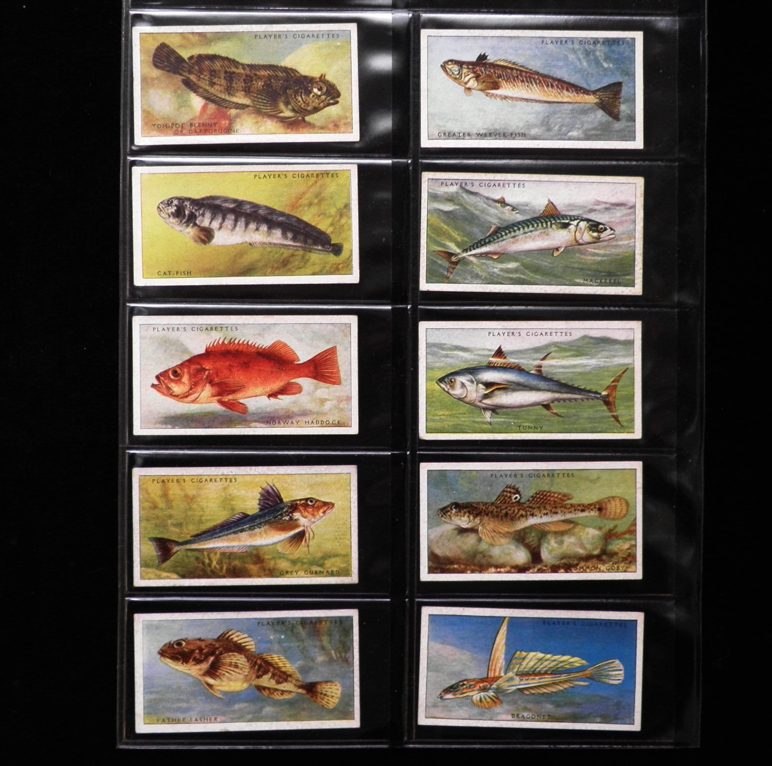 Sea Fishes Cigarette Cards by John Player Set of 50 Issued in 1935 ...