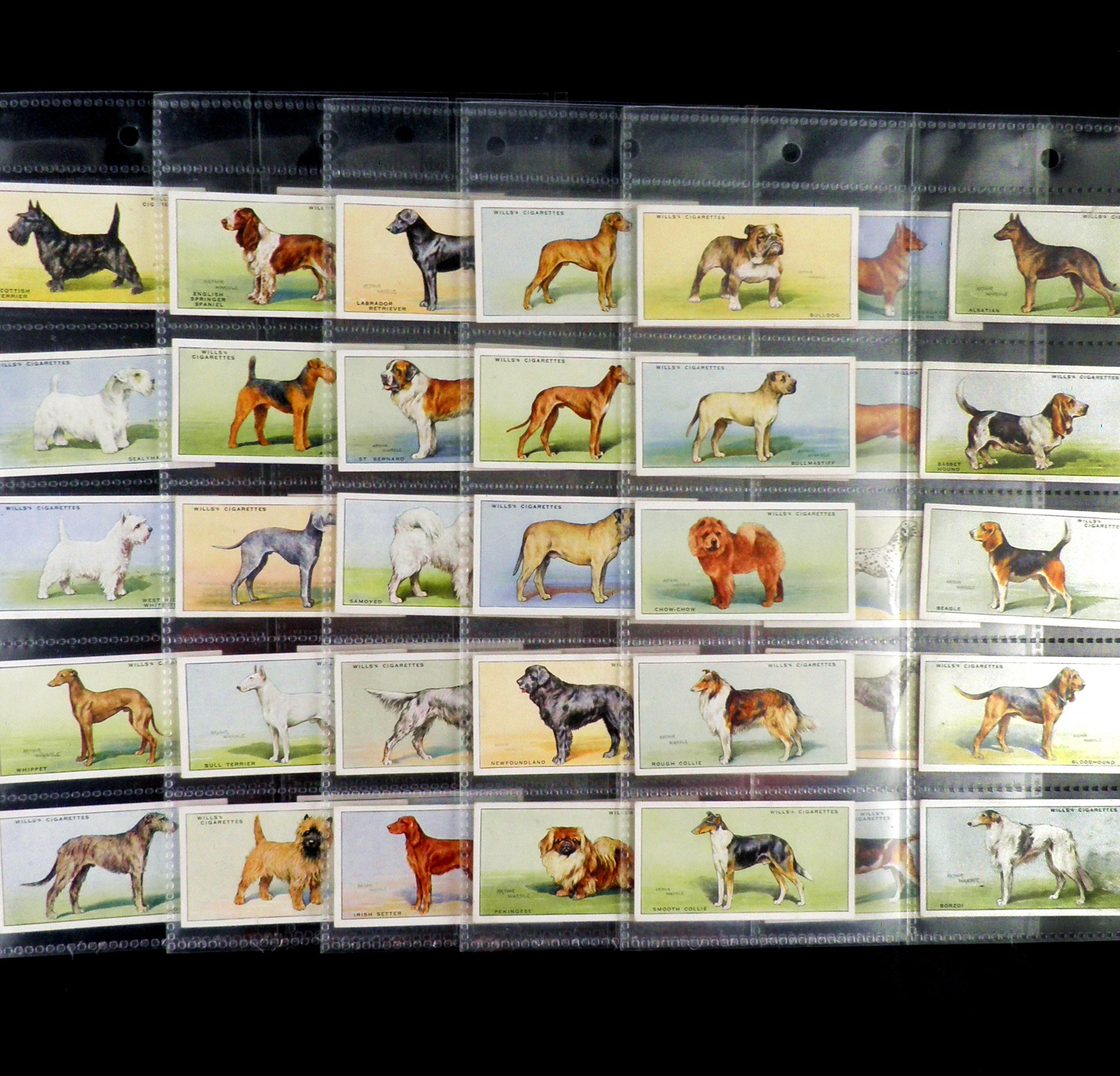 Dogs Cigarette Cards by WD & HO Wills Set of 50 Issued in 1937 Dogs ...