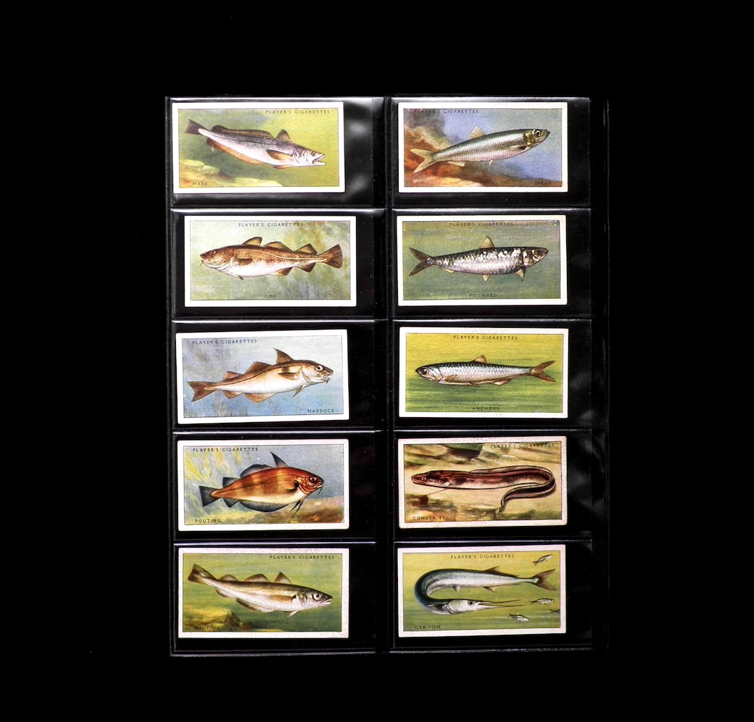 Sea Fishes Cigarette Cards by John Player Set of 50 Issued in 1935 ...