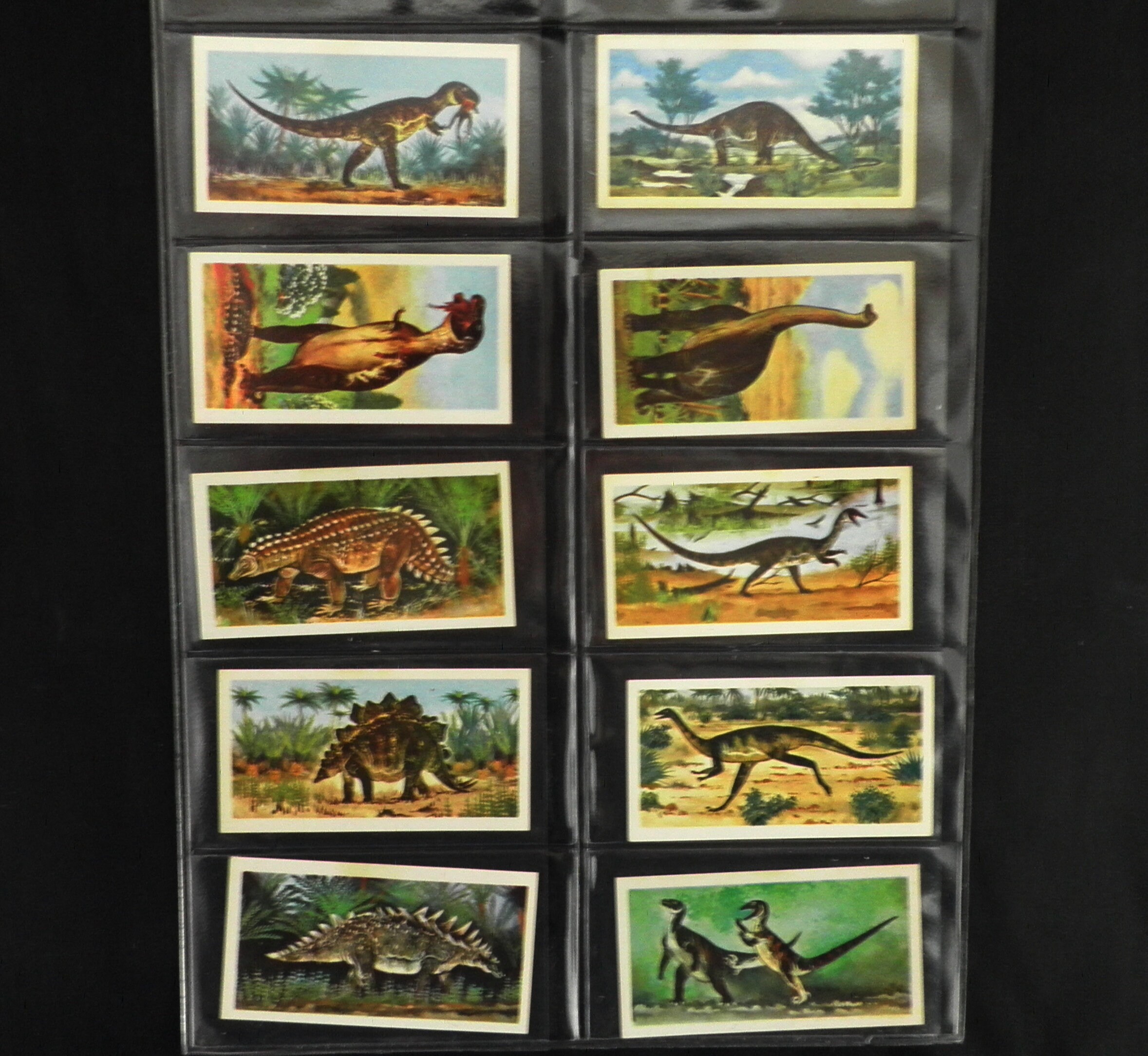 Prehistoric Animals Tea Cards by Brooke Bond Set of 50 Issued in 1972 ...
