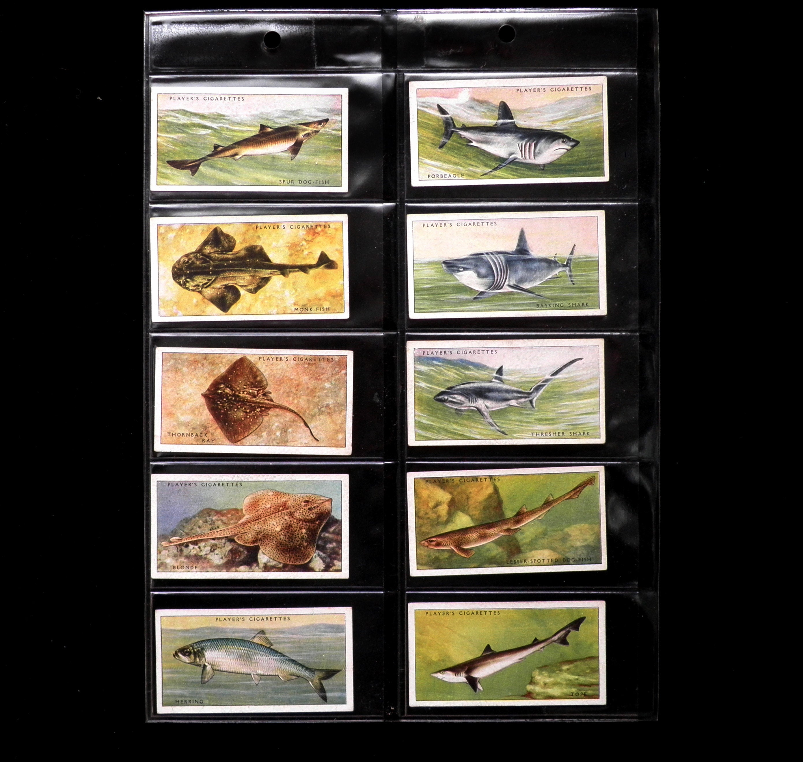 Sea Fishes Cigarette Cards by John Player Set of 50 Issued in 1935 ...