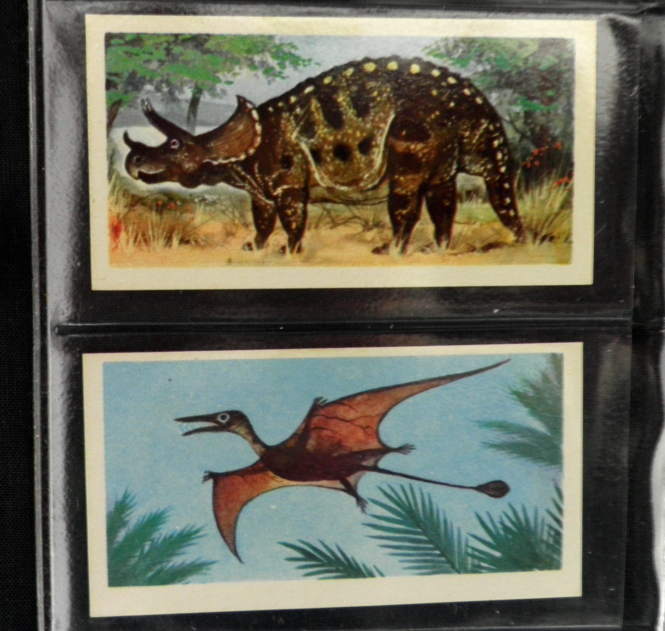 Prehistoric Animals Tea Cards by Brooke Bond Set of 50 Issued in 1972 ...