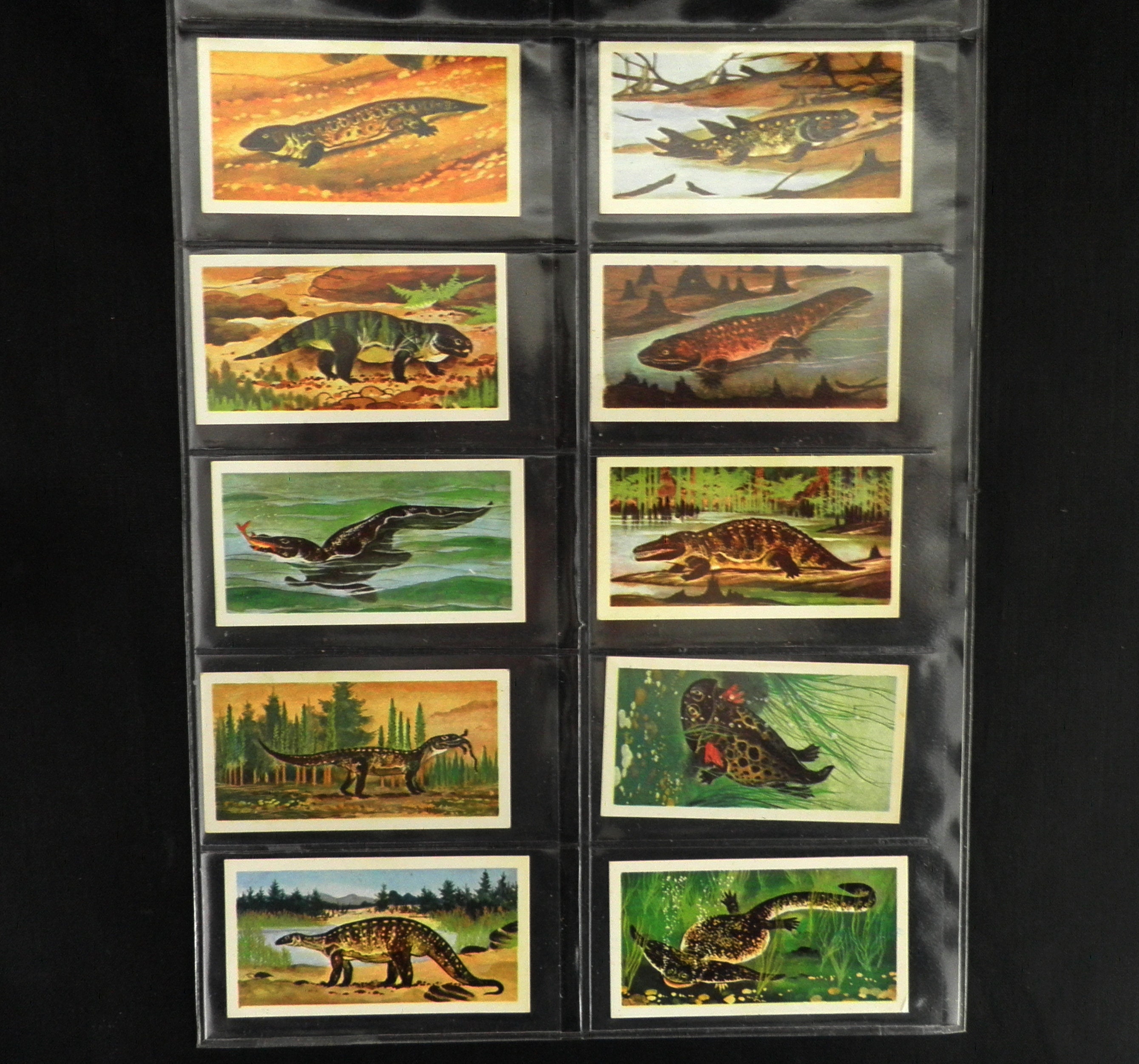 Prehistoric Animals Tea Cards by Brooke Bond Set of 50 Issued in 1972 ...