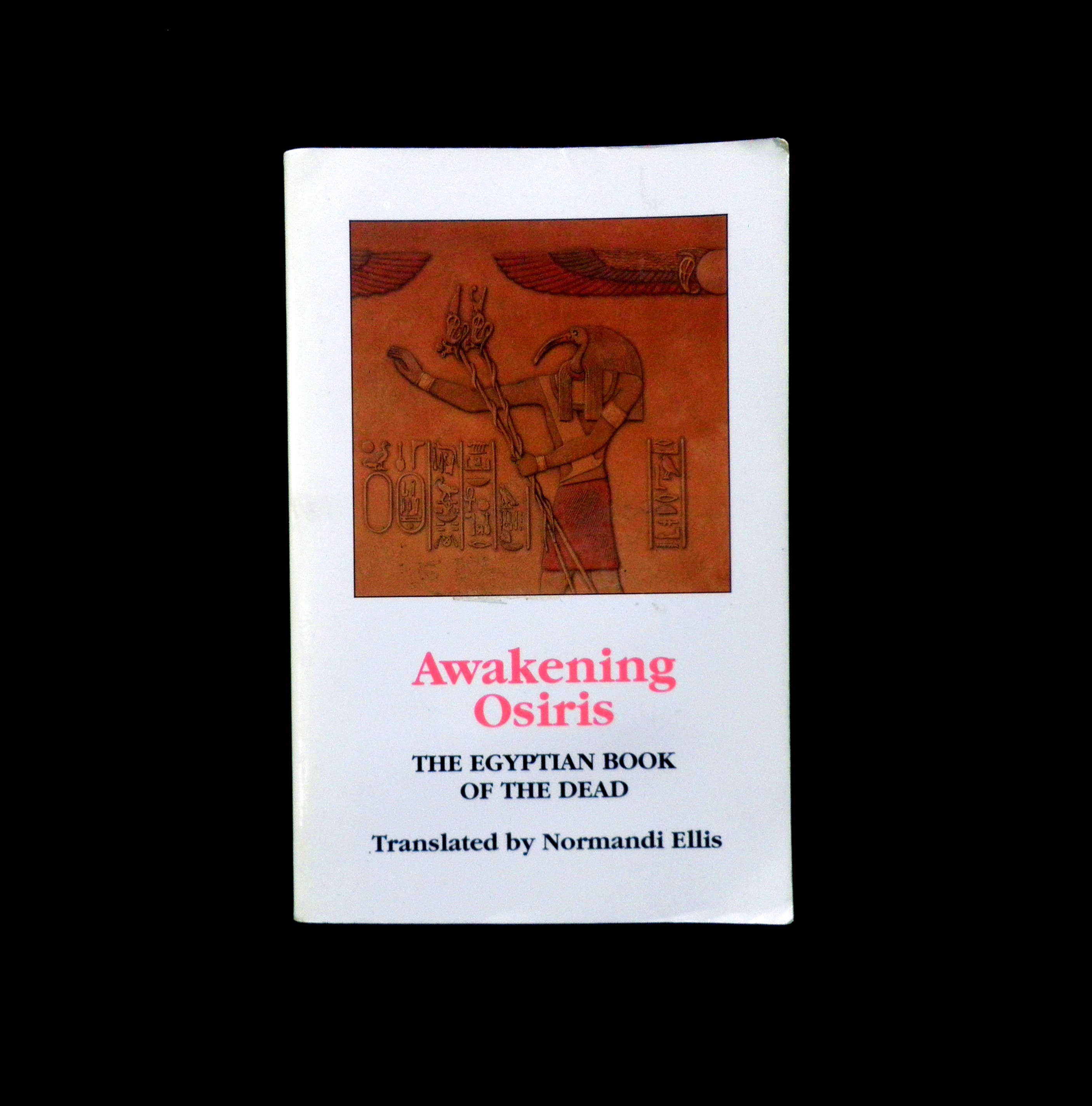 Loops & TailsAbout - Loops & Tails