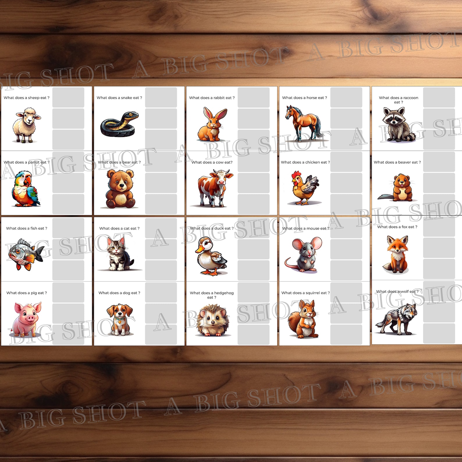 Animal Flashcards for Kids | What Do Animals Eat? | Printable ...