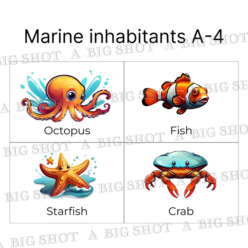 Cute Under the Sea Animals Flashcards | Marine Inhabitants A-4 | Ocean ...