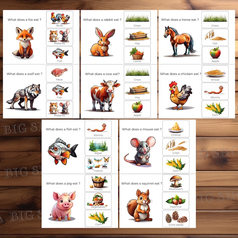 Animal Flashcards for Kids | What Do Animals Eat? | Printable ...