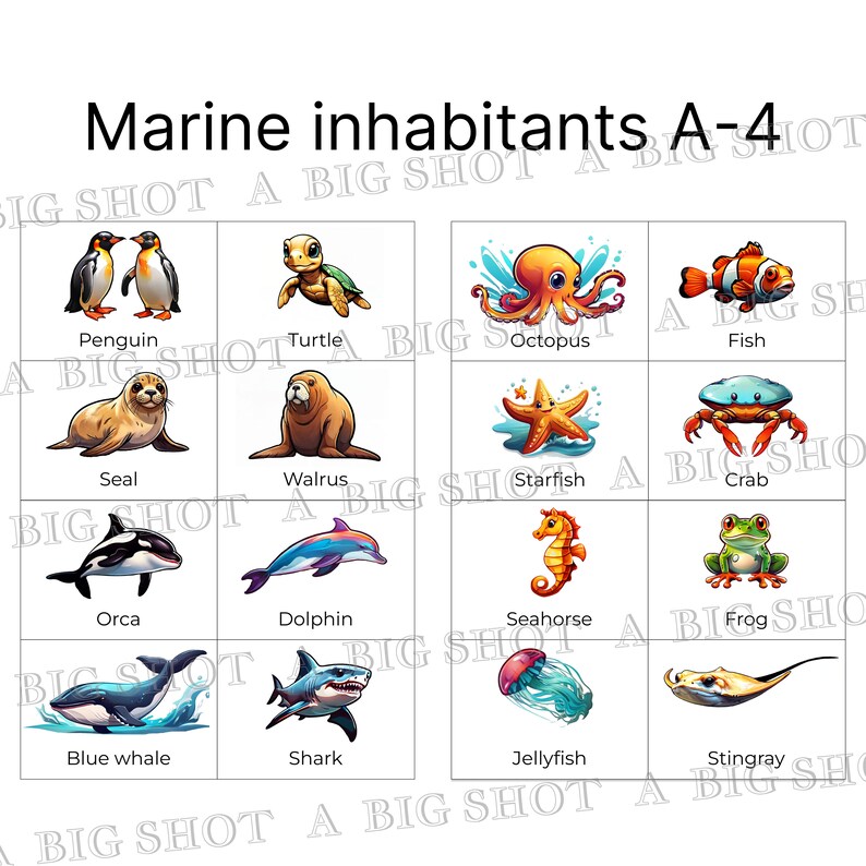 Cute Under the Sea Animals Flashcards | Marine Inhabitants A-4 | Ocean ...