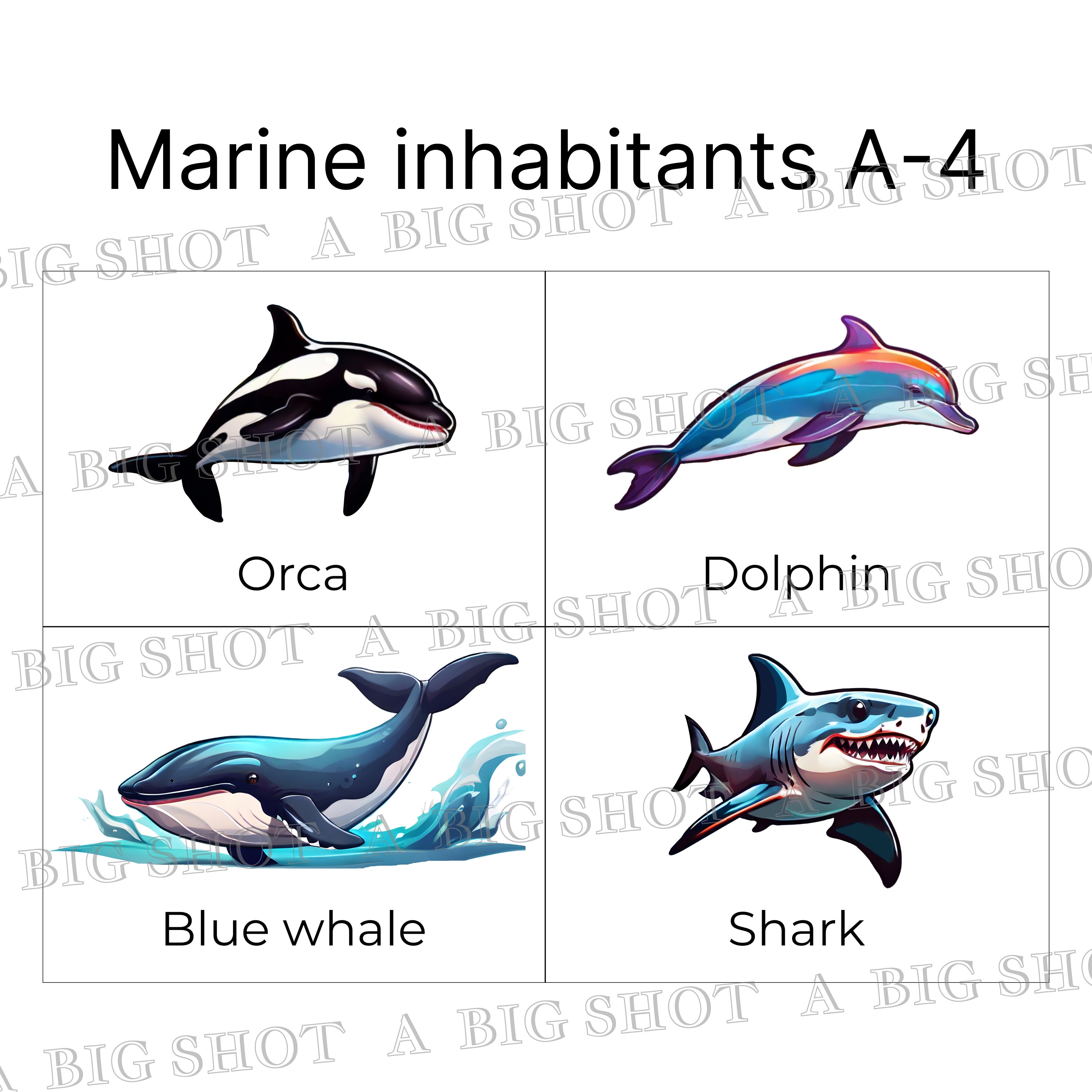 Cute Under the Sea Animals Flashcards | Marine Inhabitants A-4 | Ocean ...