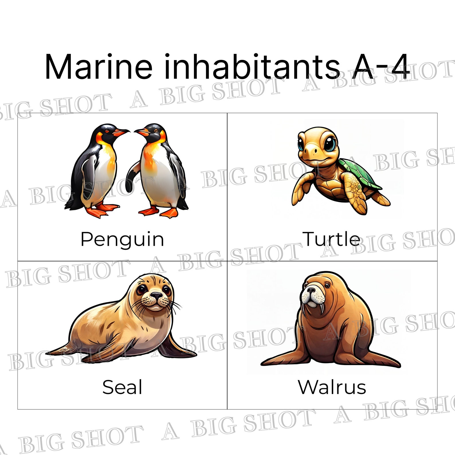 Cute Under the Sea Animals Flashcards | Marine Inhabitants A-4 | Ocean ...